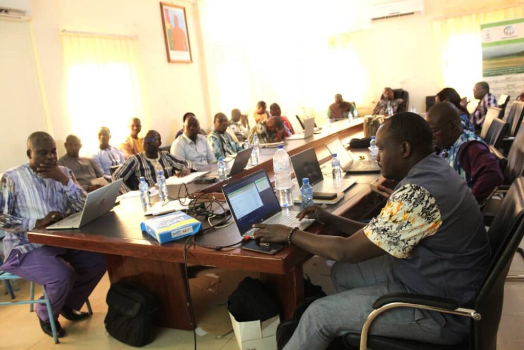 SUIVI DE LA MISE EN ŒUVRE FIDUCIAIRE DES PDIC/REDD+ - FIE